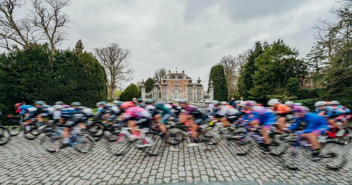 Drie op een rij voor Wiebes in Schoten? | Scheldeprijs